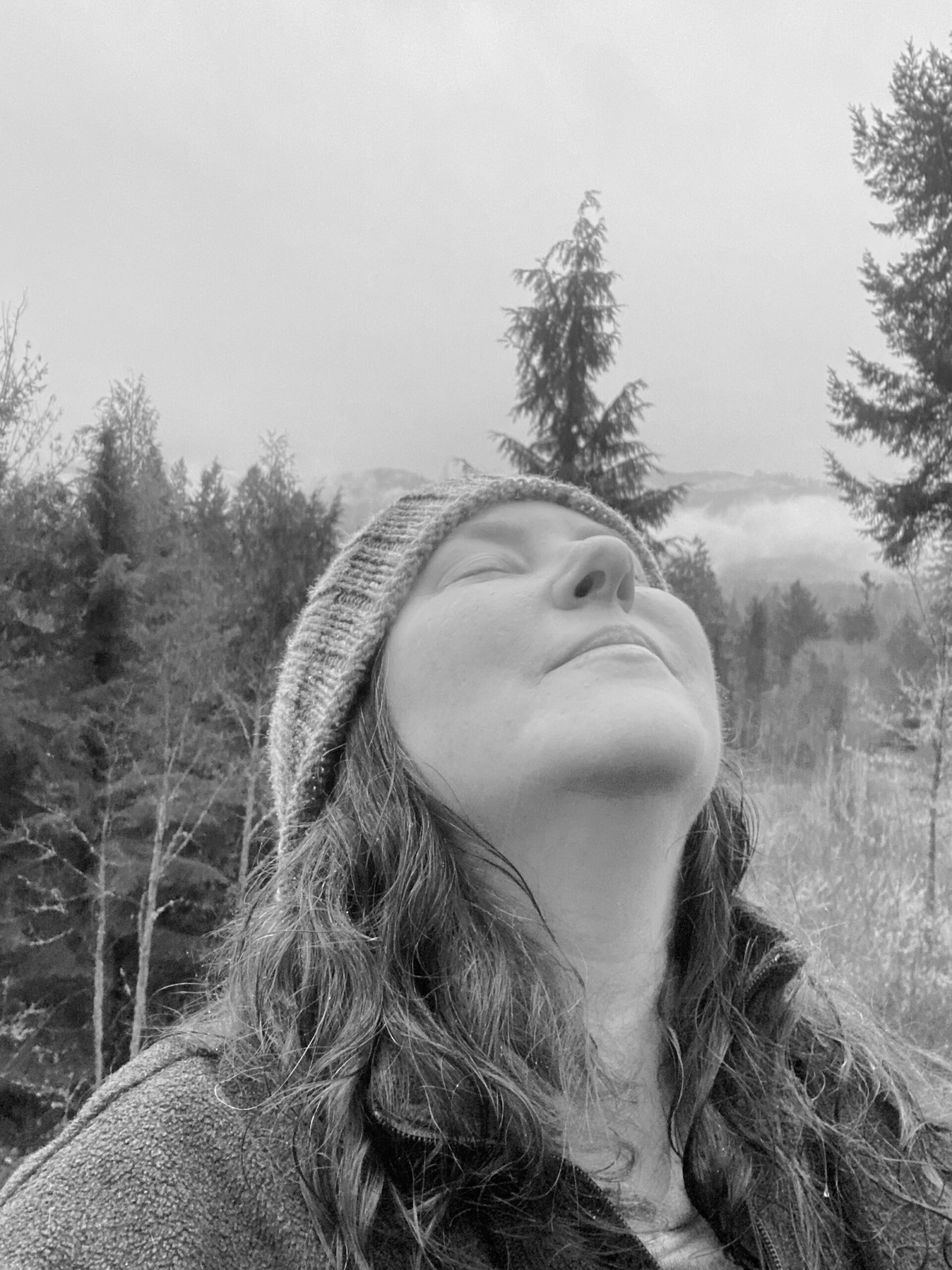 Home - Indigo Crow Inc.